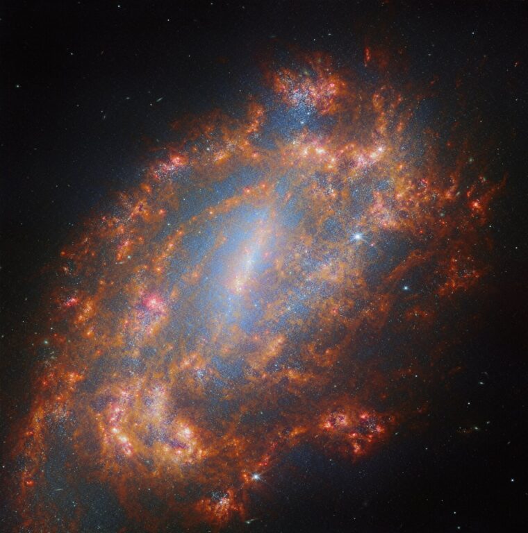 NGC 1559: ハッブルとウェッブが明かす宇宙の秘密 | サイエンスメディア・ガリレオ